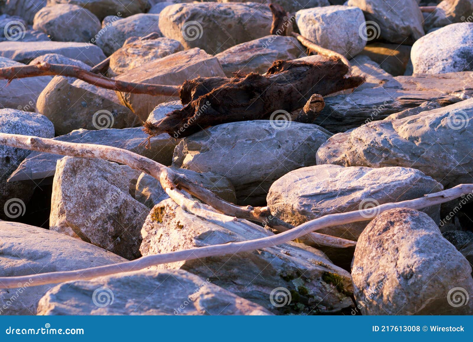 Closeup of Large Round Rocks and Branches on a Beach with Sunlight ...