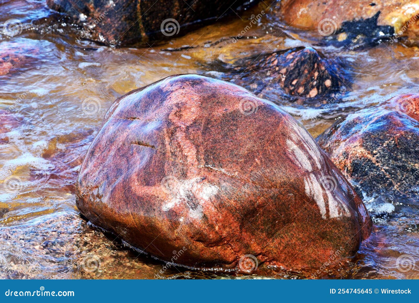 Closeup of Large Wet Rock on the Algal Shore Stock Image - Image of ...