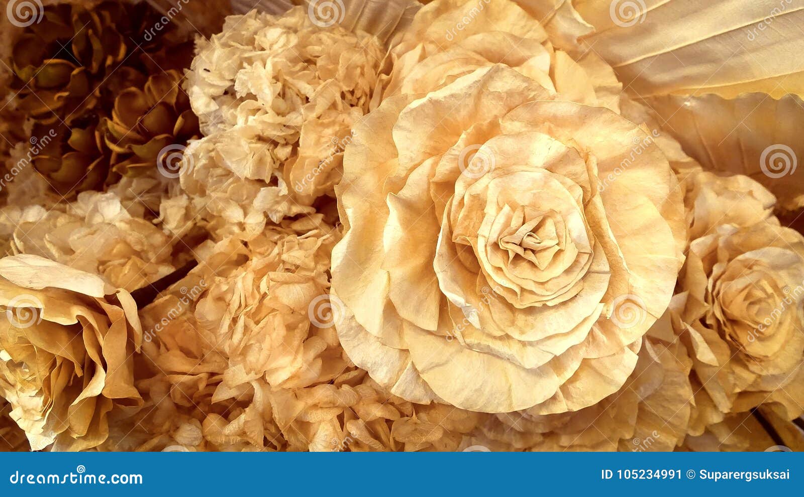 Light Brown Dried Flowers Background Stock Image - Image of beauty ...