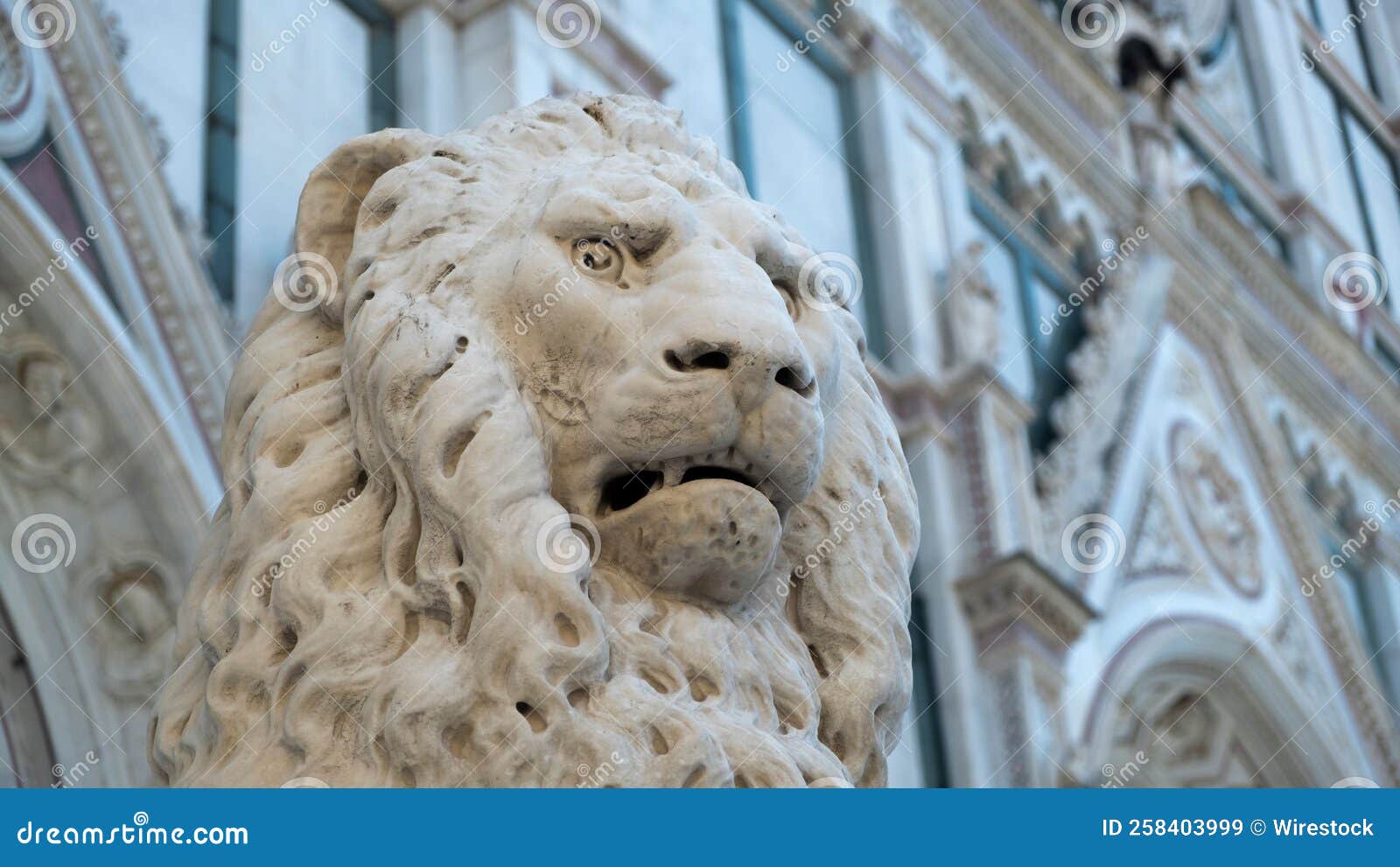 Closeup of a Lion Face Statue on a Wall Stock Image - Image of ...