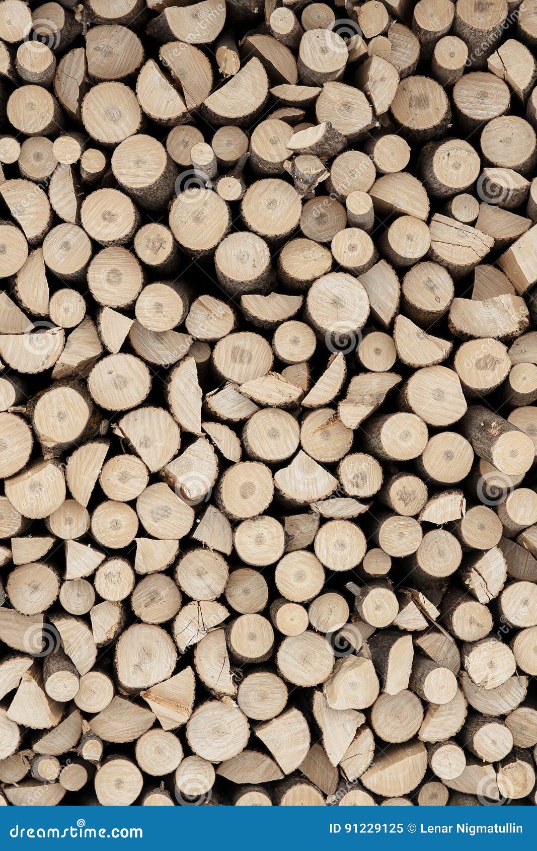 Closeup of Logs of Trees in Nature. a Lot of Cutted Logs Stock Image ...