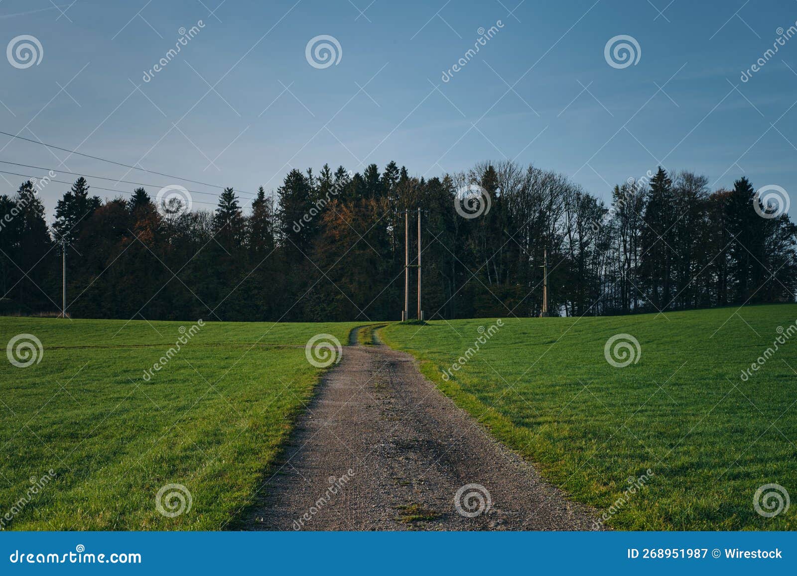 Closeup of a Long Path in the Middle of a Grass Field on a Background ...