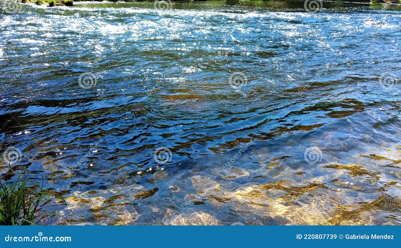 Sunlight Sparkling in the River Water Stock Image - Image of beautiful ...