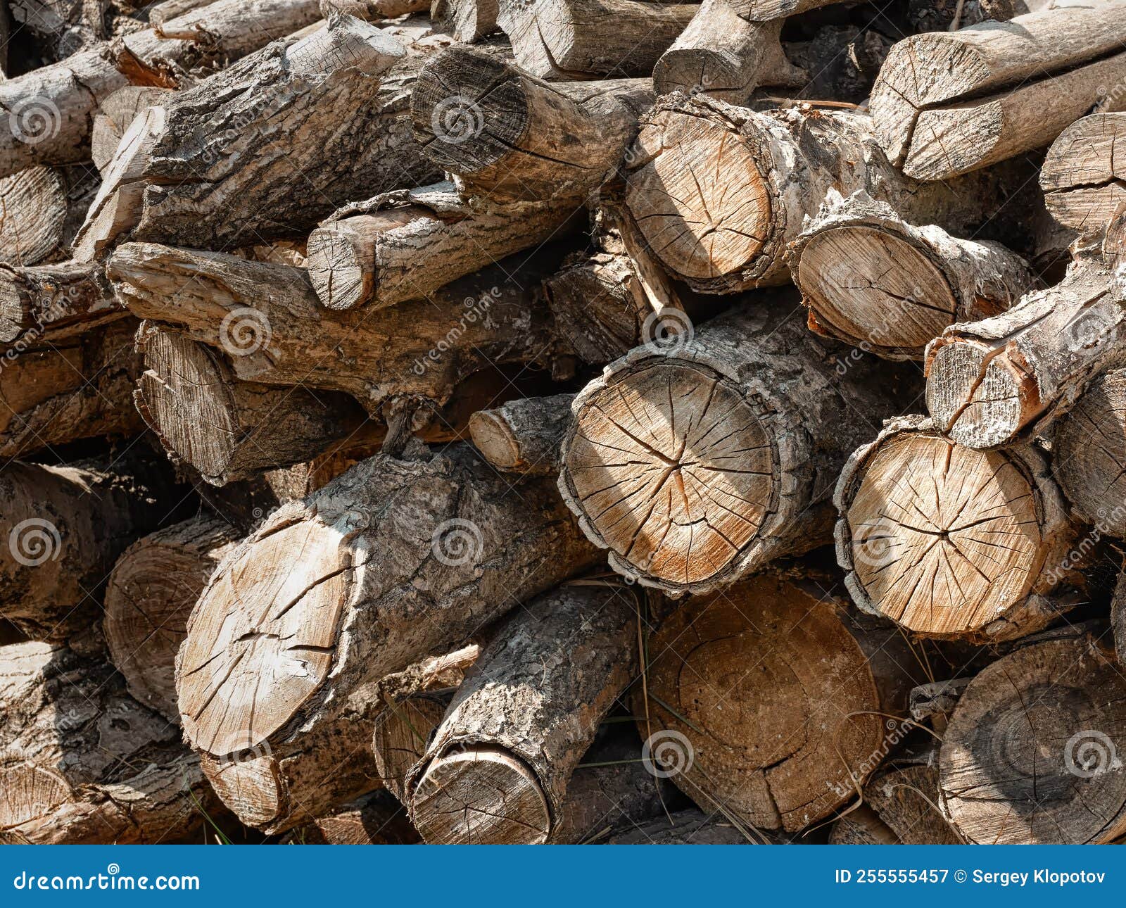 Closeup of a Lot of Dry Firewood Stock Image - Image of detail ...