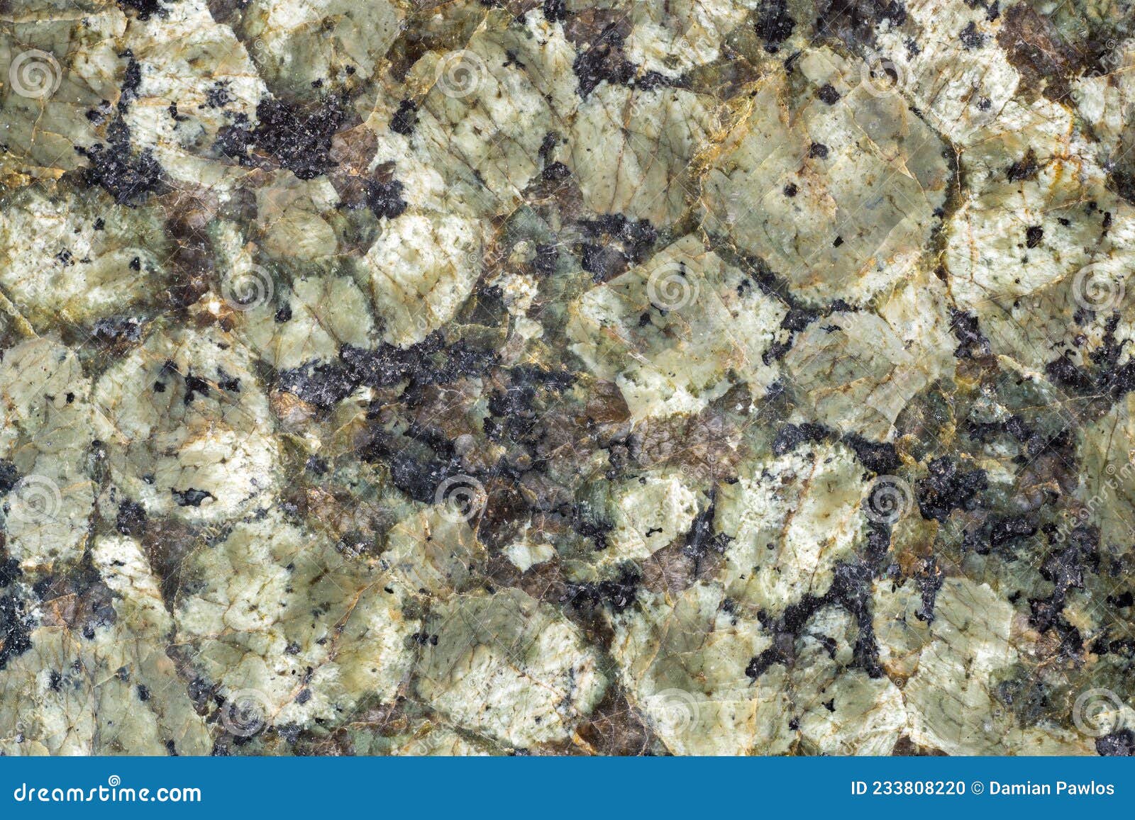 Closeup of Luxurious Granite Slab. the Phaneritic Texture of Granite ...