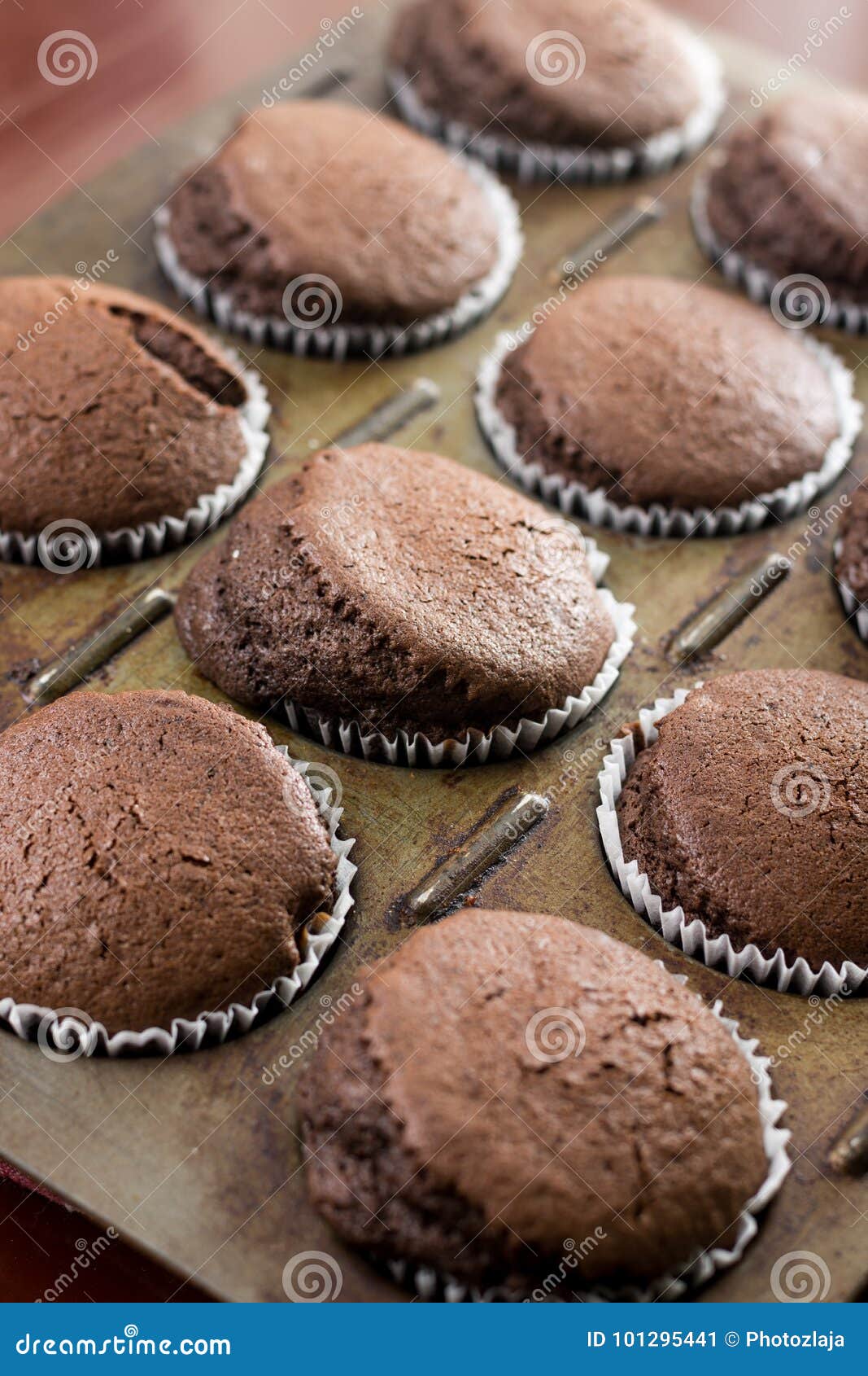 Closeup Macro of Fresh Baked Chocolate Cup Cakes in the Baking Tray ...
