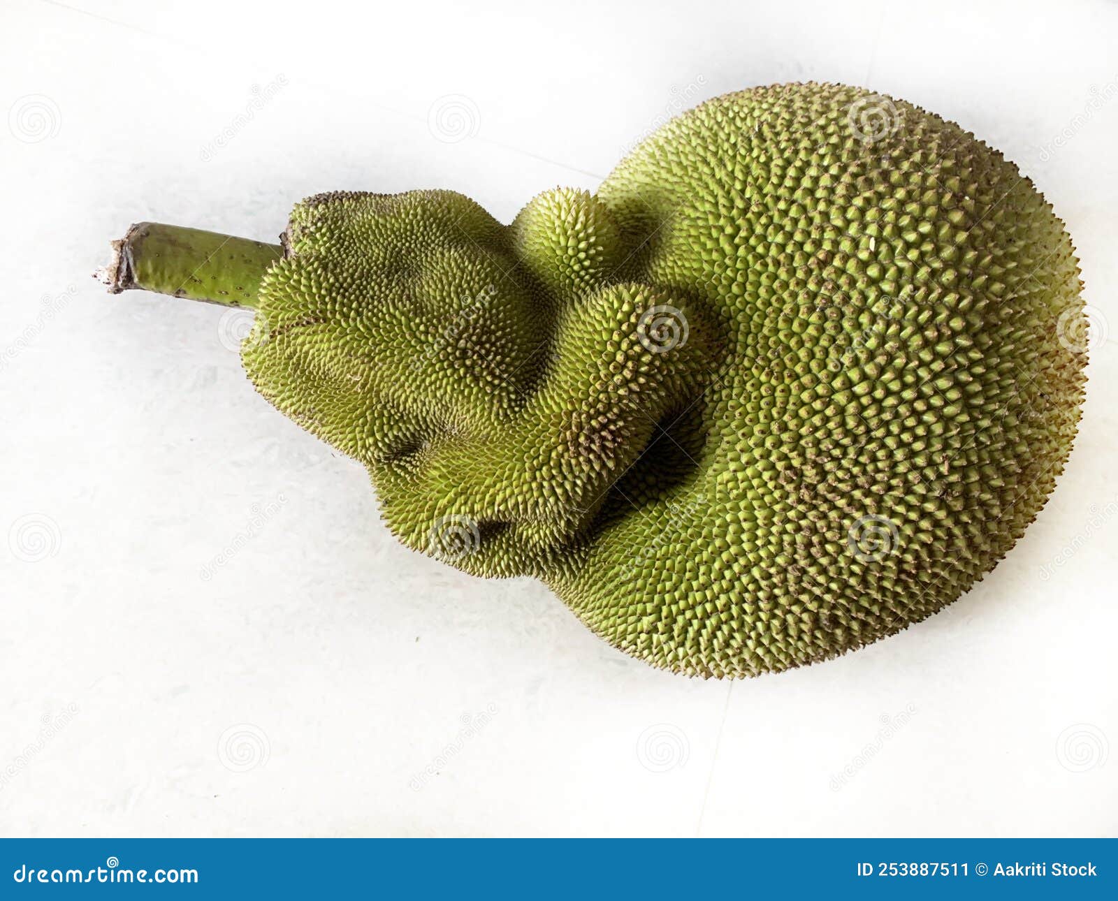 Closeup Macro of Jackfruit Peel Texture a Small Button Consecutive ...