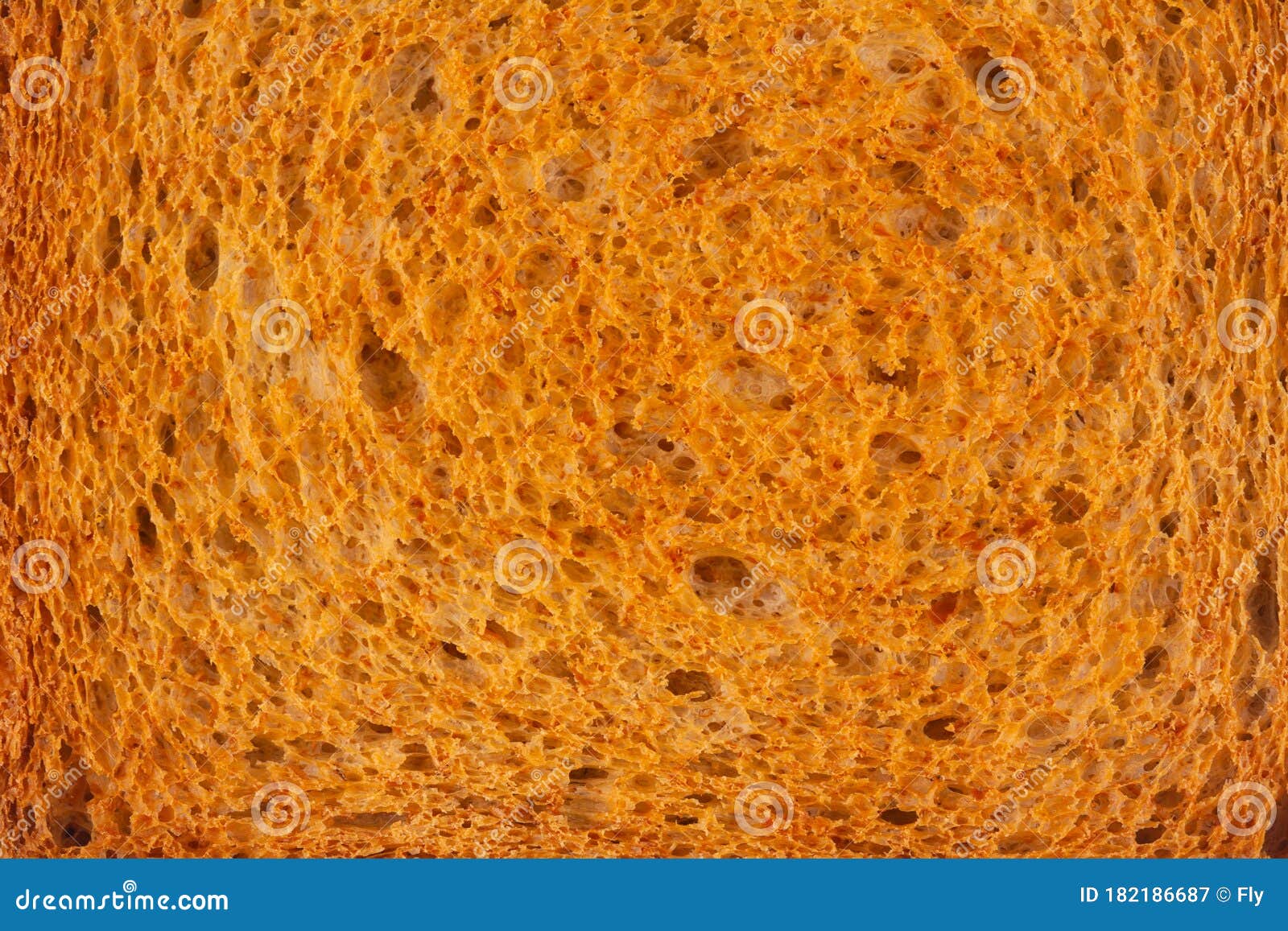 Closeup Macro of Toasted Bread Slice Stock Image - Image of bakery ...
