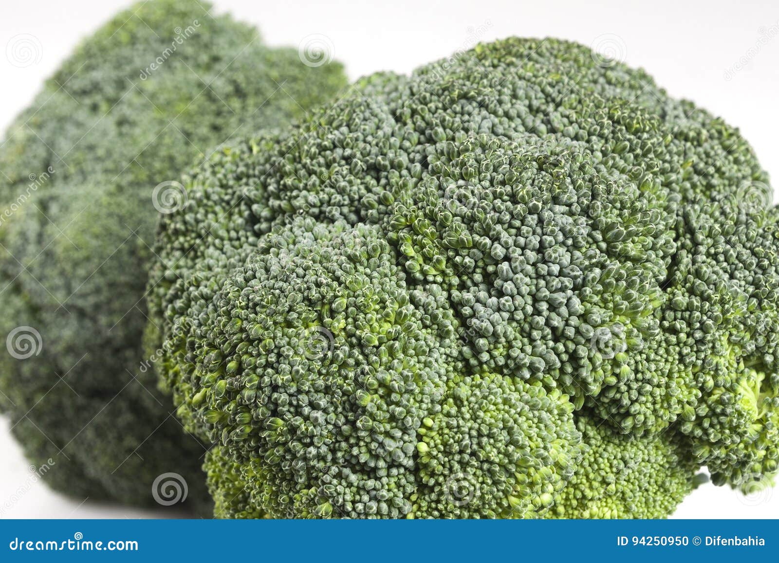 Closeup Macro at Two Broccoli Stock Photo - Image of brocolli ...