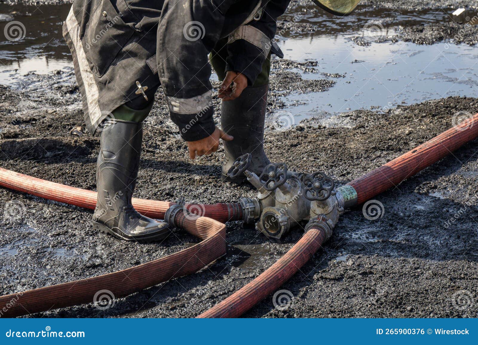 Closeup of Male Firefighter Hands Rolling Hose Stock Photo - Image of ...