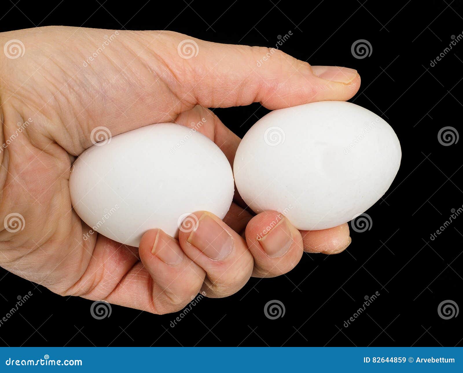Closeup of a Male Hand, with a Pair of White Hen Eggs Stock Image ...