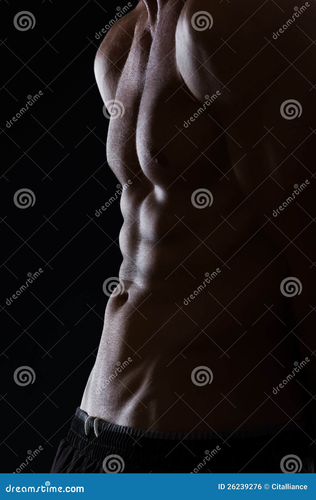 Closeup on Male Torso with Abdominal Muscles Stock Photo - Image of ...
