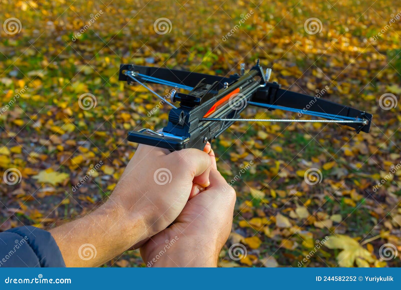 Man Shooting from the Crossbow Stock Photo - Image of target, hand ...