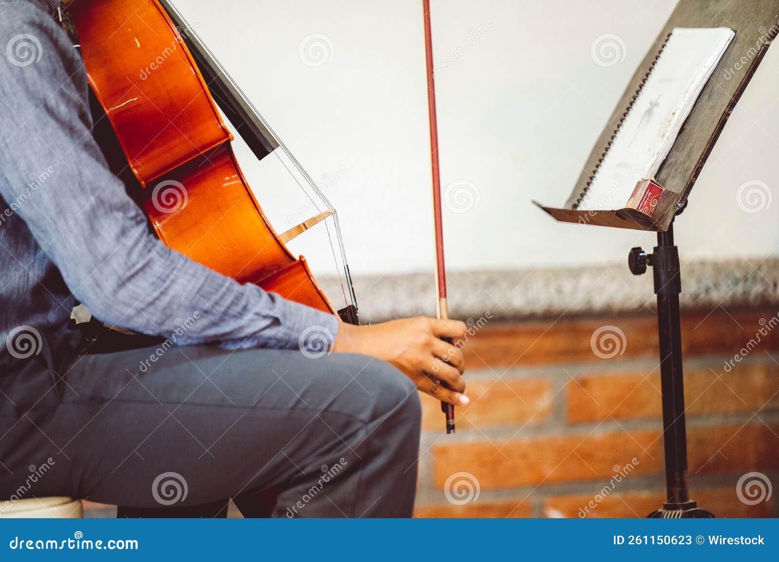 Closeup of a Man Sitting and Playing a Cello Stock Image - Image of ...