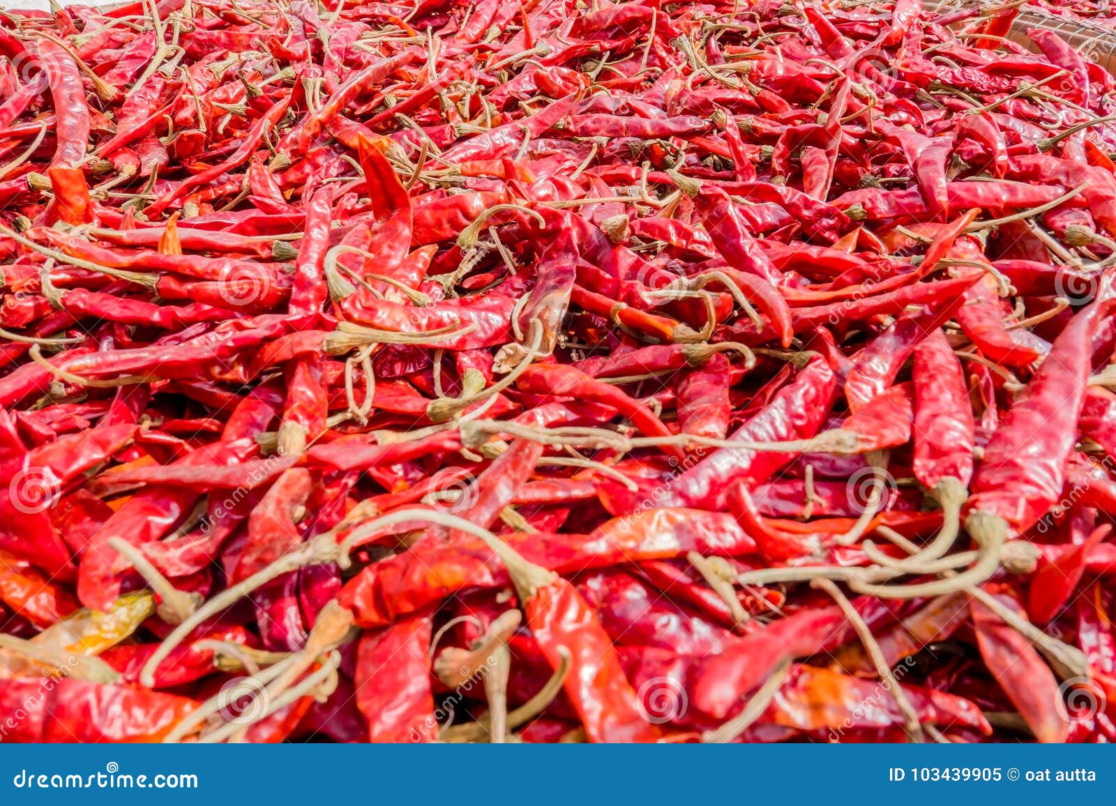 Closeup Many Dried Red Chili Pepper Texture for Background Stock Image ...