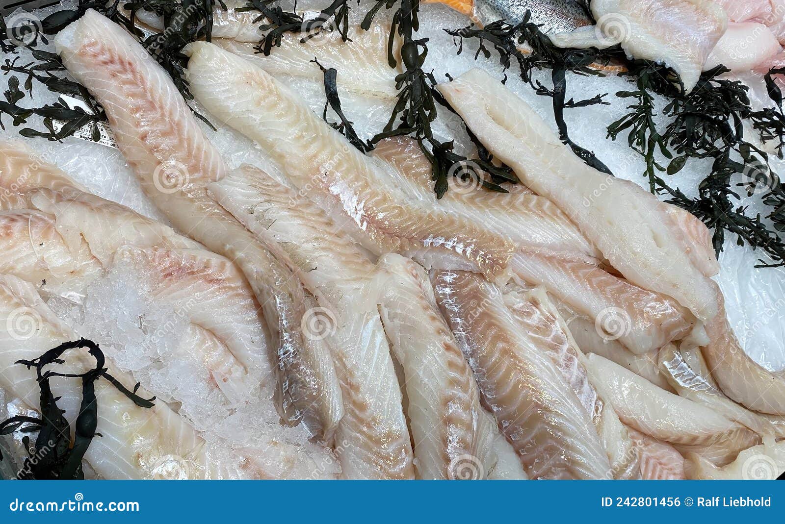 Closeup of Many Fresh Raw Atlantic Cod Fish Filets on Ice at Counter in ...