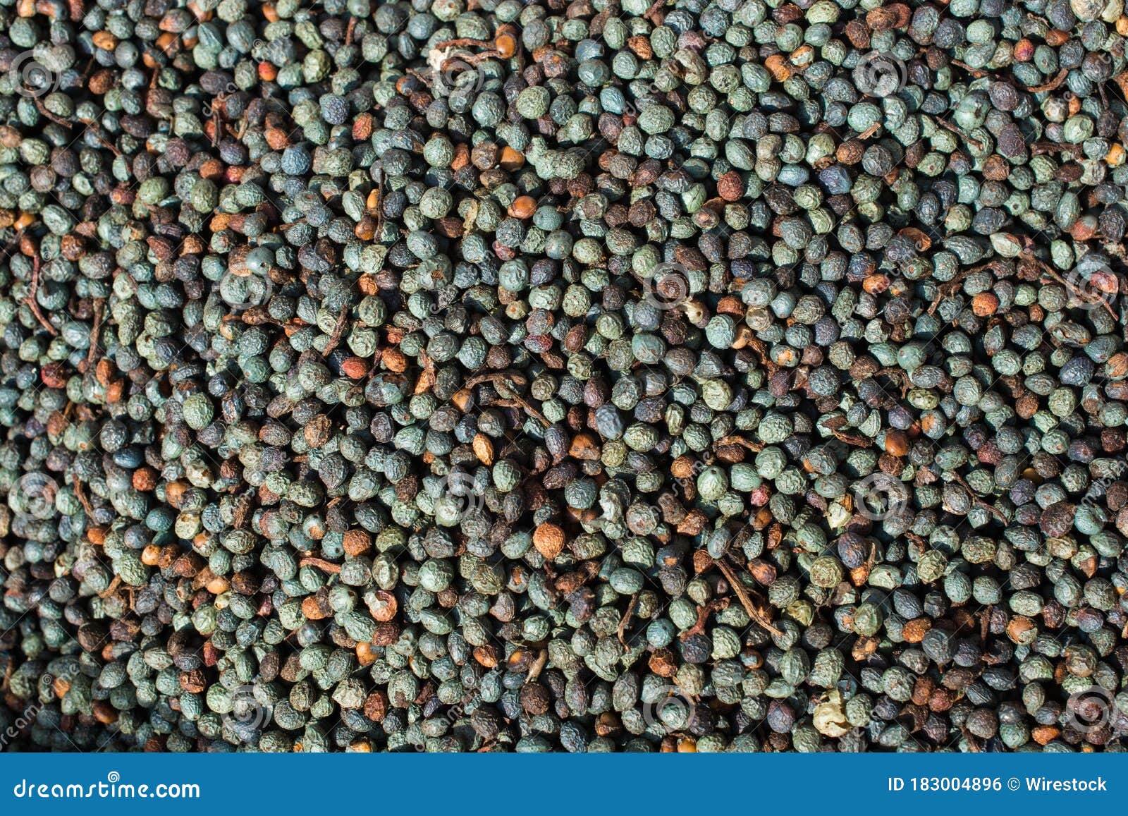 Closeup of Many Round Seeds Stock Photo - Image of plant, round: 183004896