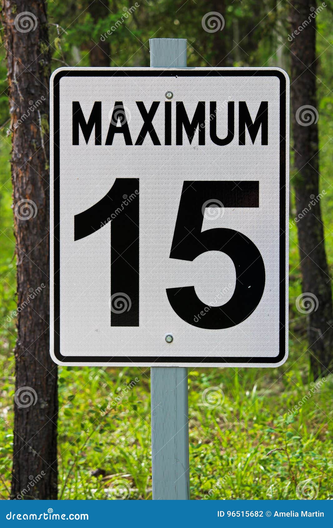 Closeup of a Maximum 15 Sign Stock Photo - Image of obey, rectangle ...
