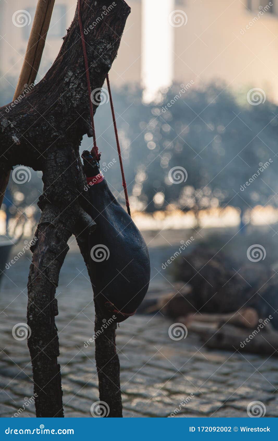 Closeup of Meat Roasting on Fire Outdoors Under the Sunlight with a ...