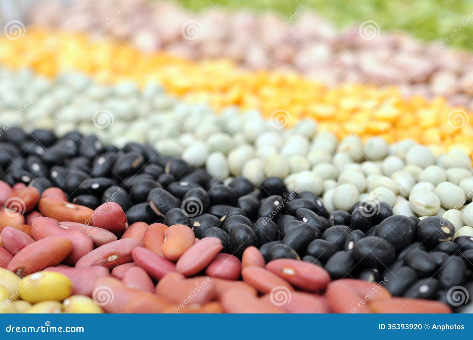 Closeup mix beans stock photo. Image of ripe, green, light - 35393920