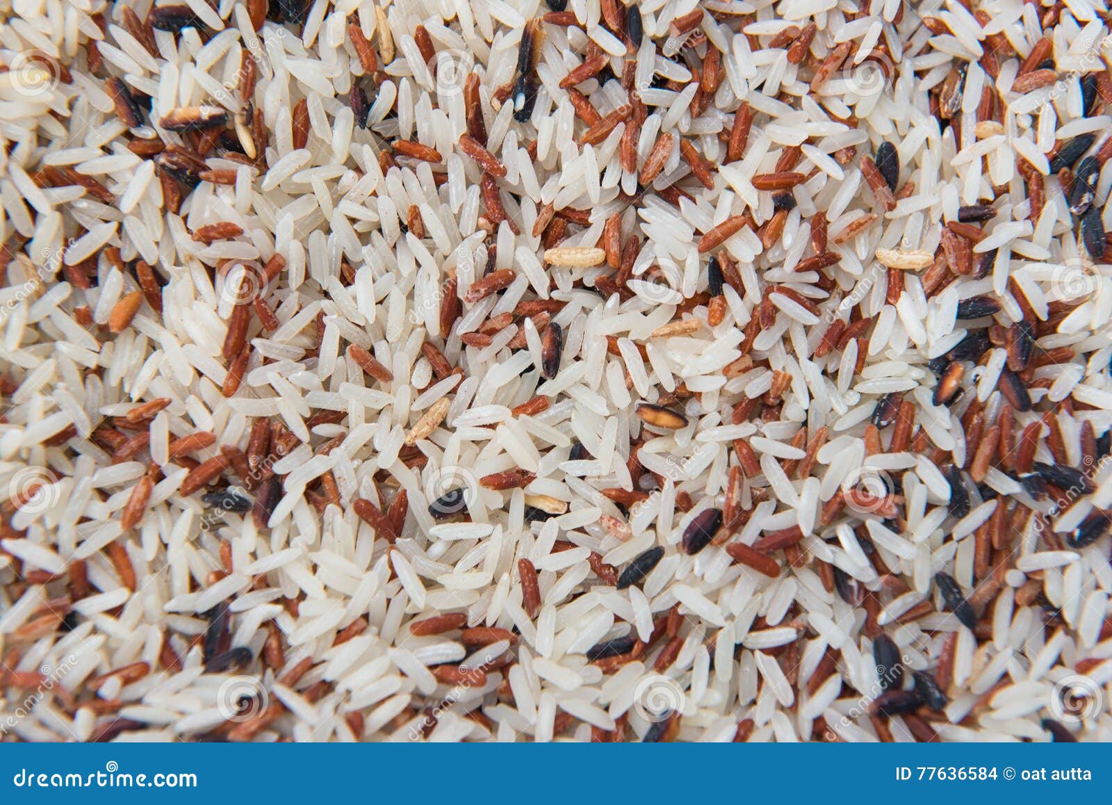 Closeup Mixed White and Brown Rice, Colorful Rice Grain for Background ...
