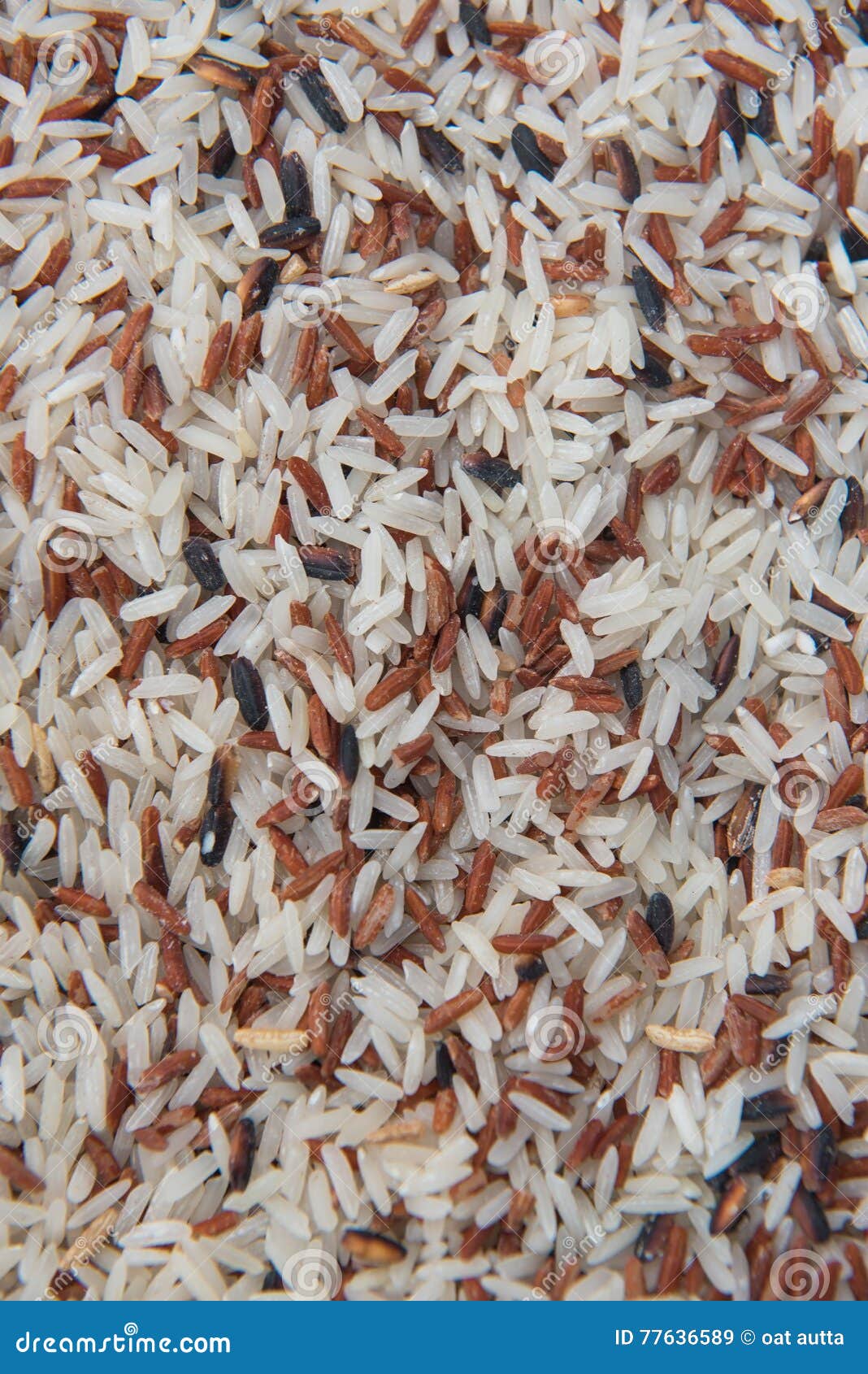 Closeup Mixed White and Brown Rice, Colorful Rice Grain for Background ...