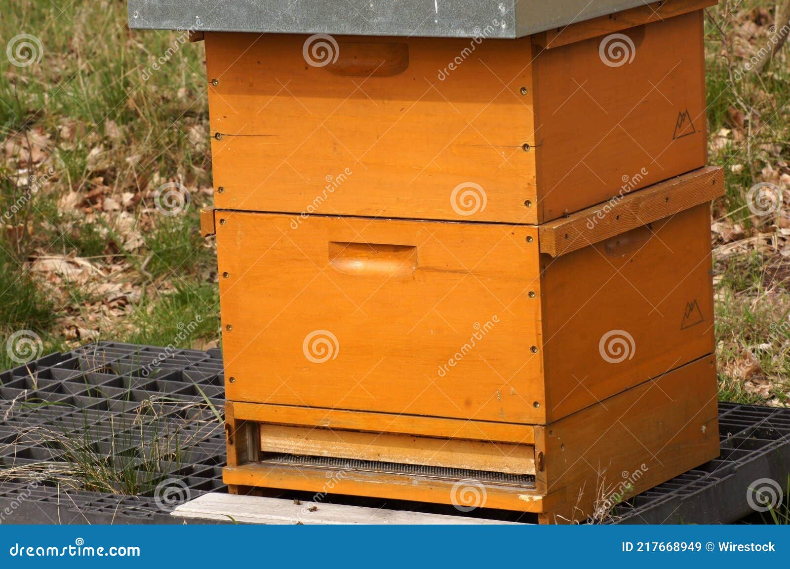 Closeup of a Modern Beehive Stock Image - Image of grass, farmland ...