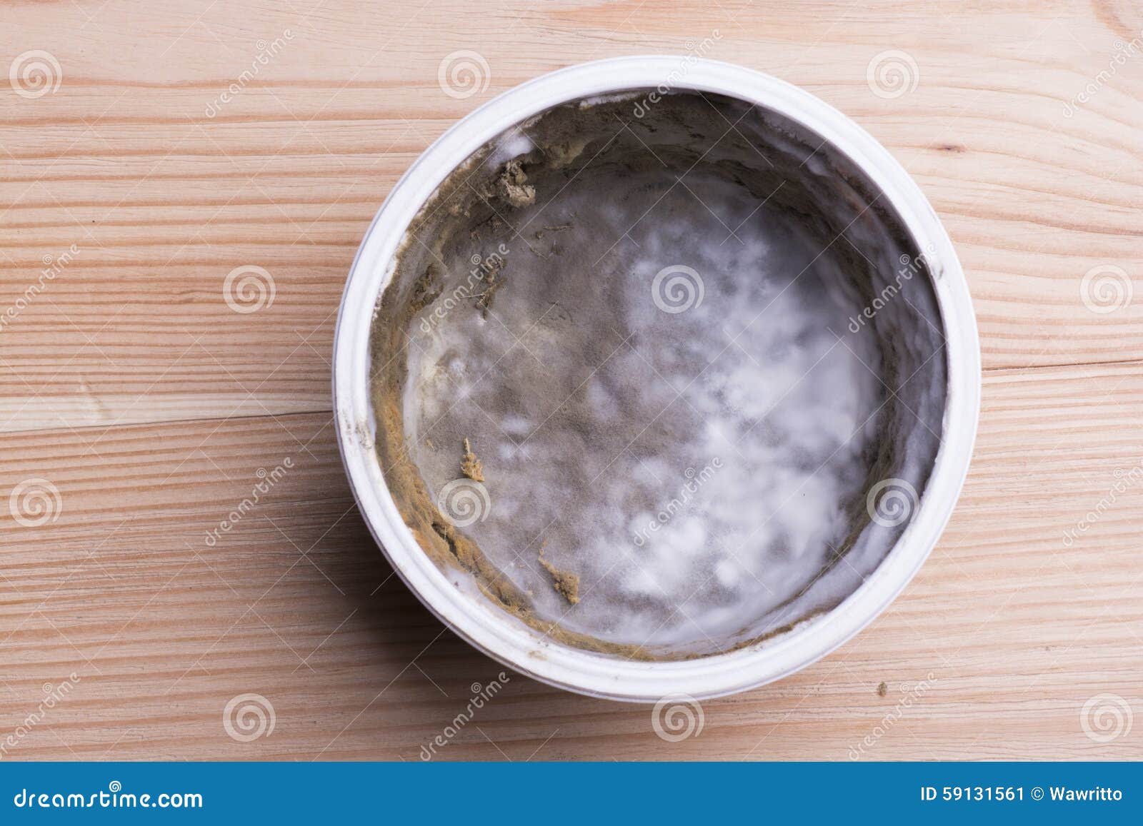 Closeup of mould stock image. Image of mouldy, microbe - 59131561