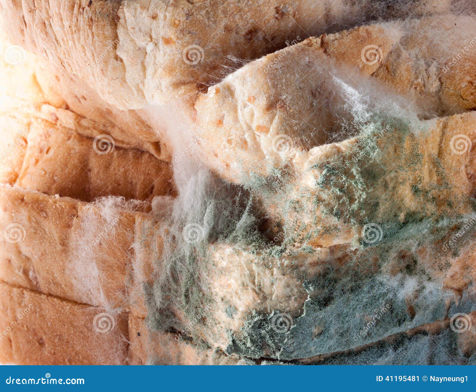 Closeup mouldy bread. stock image. Image of rotting, bacteria - 41195481