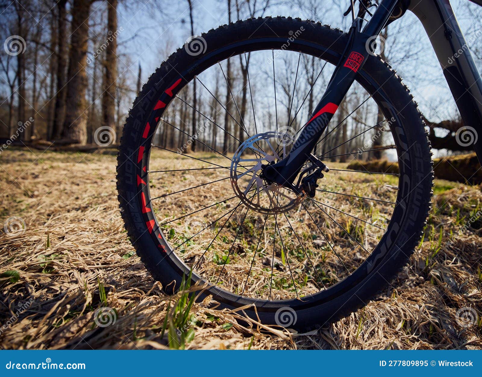 Closeup of a Mountain Bike Wheel in a Forest Setting. Editorial Image ...