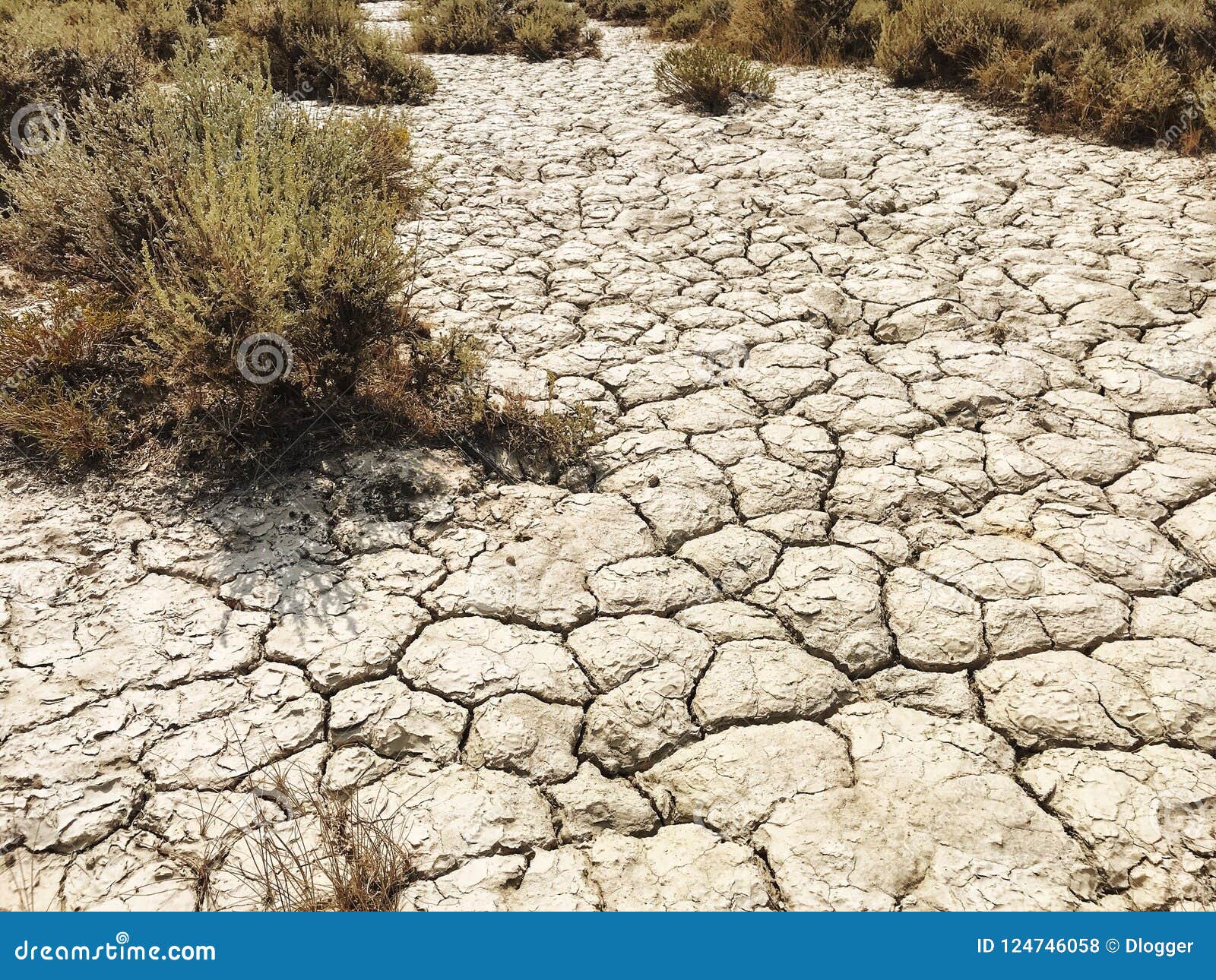 Closeup of mud cracks stock photo. Image of landscape - 124746058
