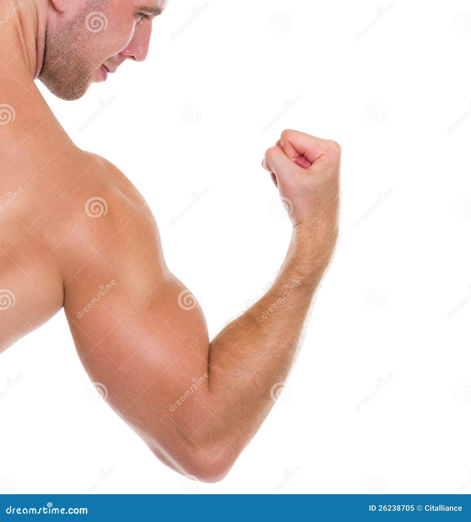 Closeup on Muscular Man Showing Biceps Stock Image - Image of athlete ...