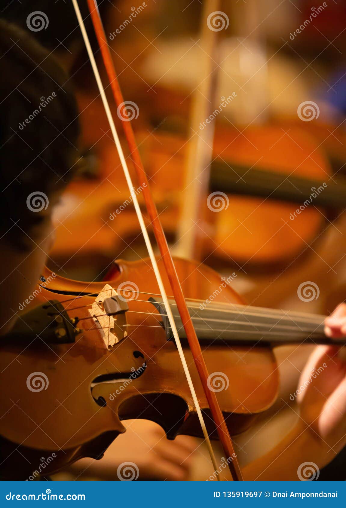 Closeup of the Musician`s Hand is Playing a Violin in an Orchestra ...
