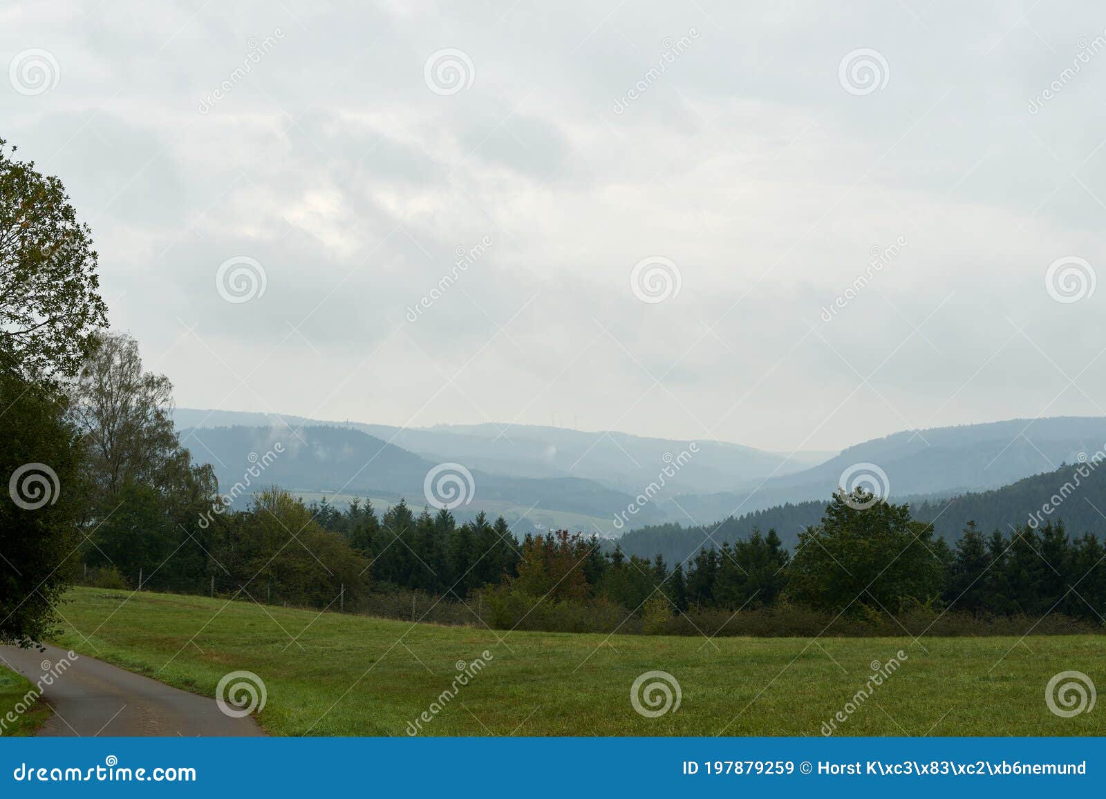 Closeup of Mystical Fog Forest. Mist and Low Hanging Clouds Moving ...
