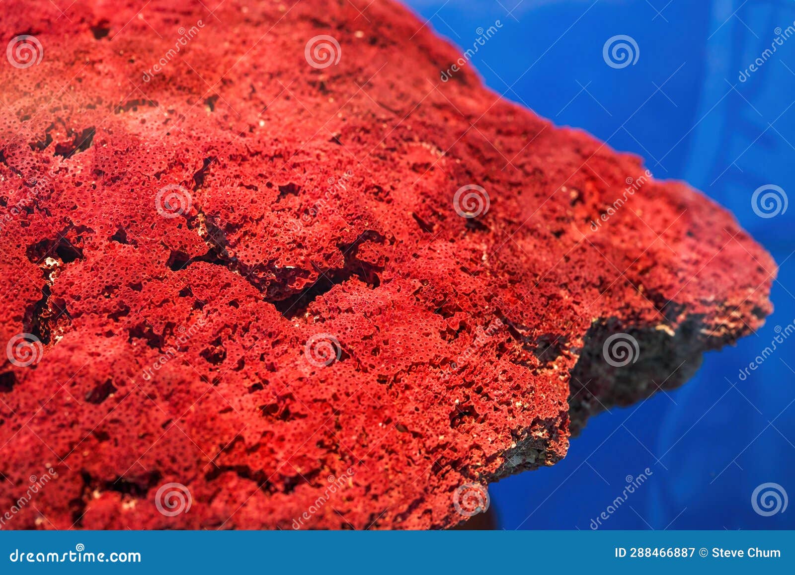 Closeup of Naturally Occurring Rare Red Crystalline Ore Stock Image ...