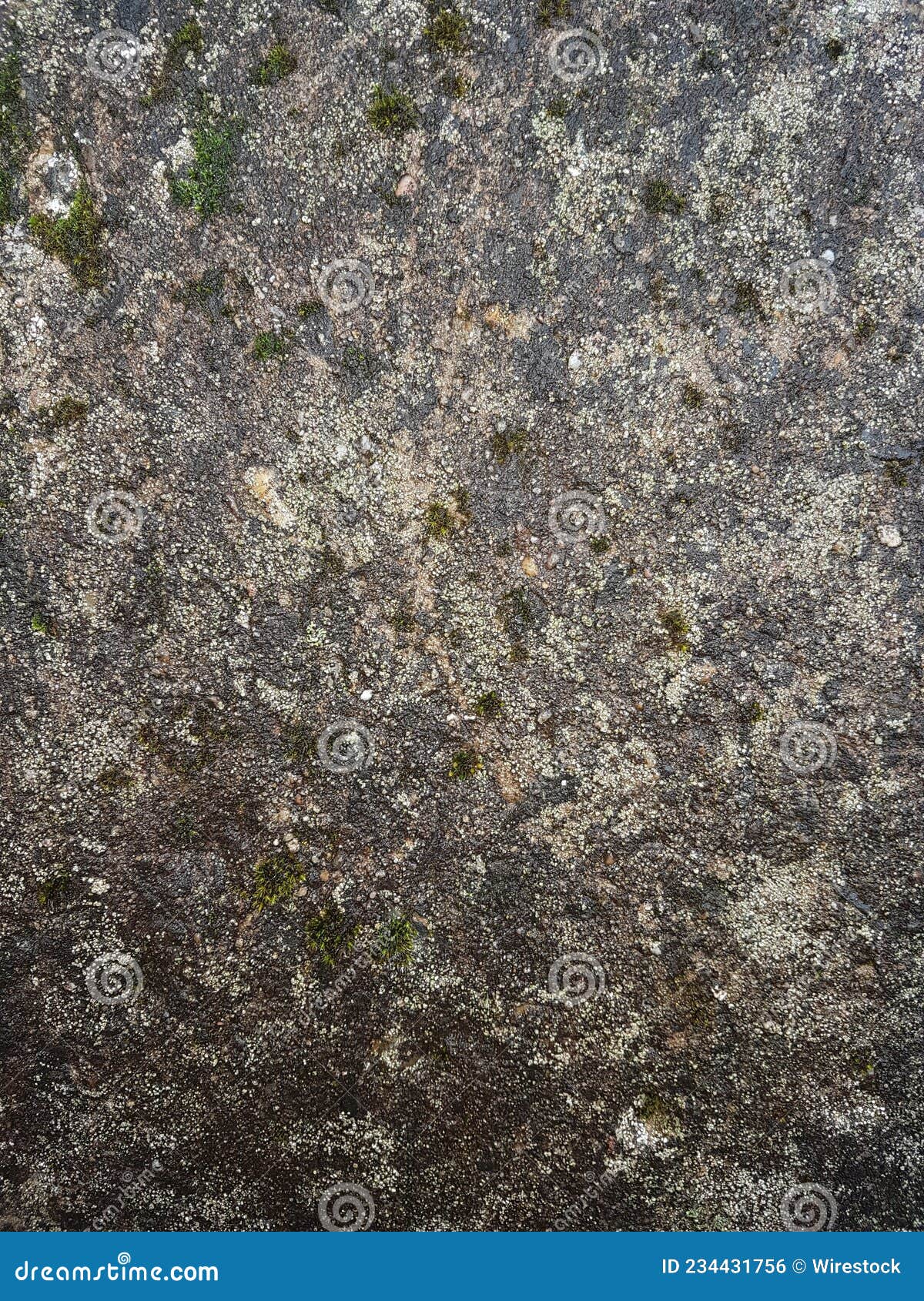 Closeup of the Naturally Textured Stone Surface Stock Photo - Image of ...