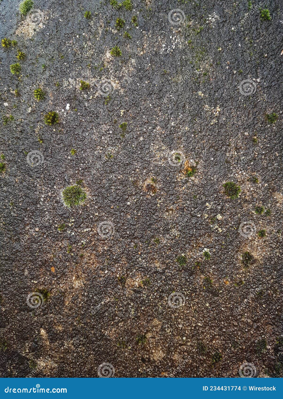 Closeup of the Naturally Textured Stone Surface Stock Photo - Image of ...