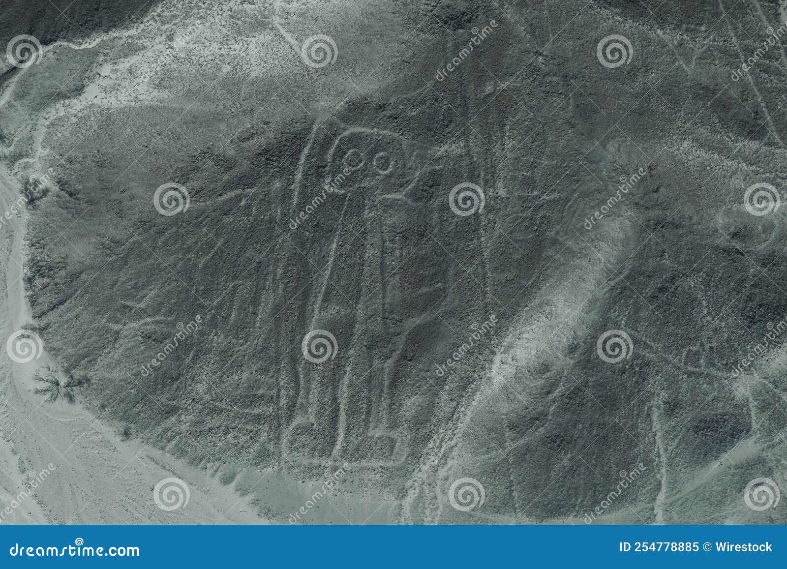 Closeup of Nazca Lines, an Ancient Cryptic Geoglyph in Peru Stock Image ...