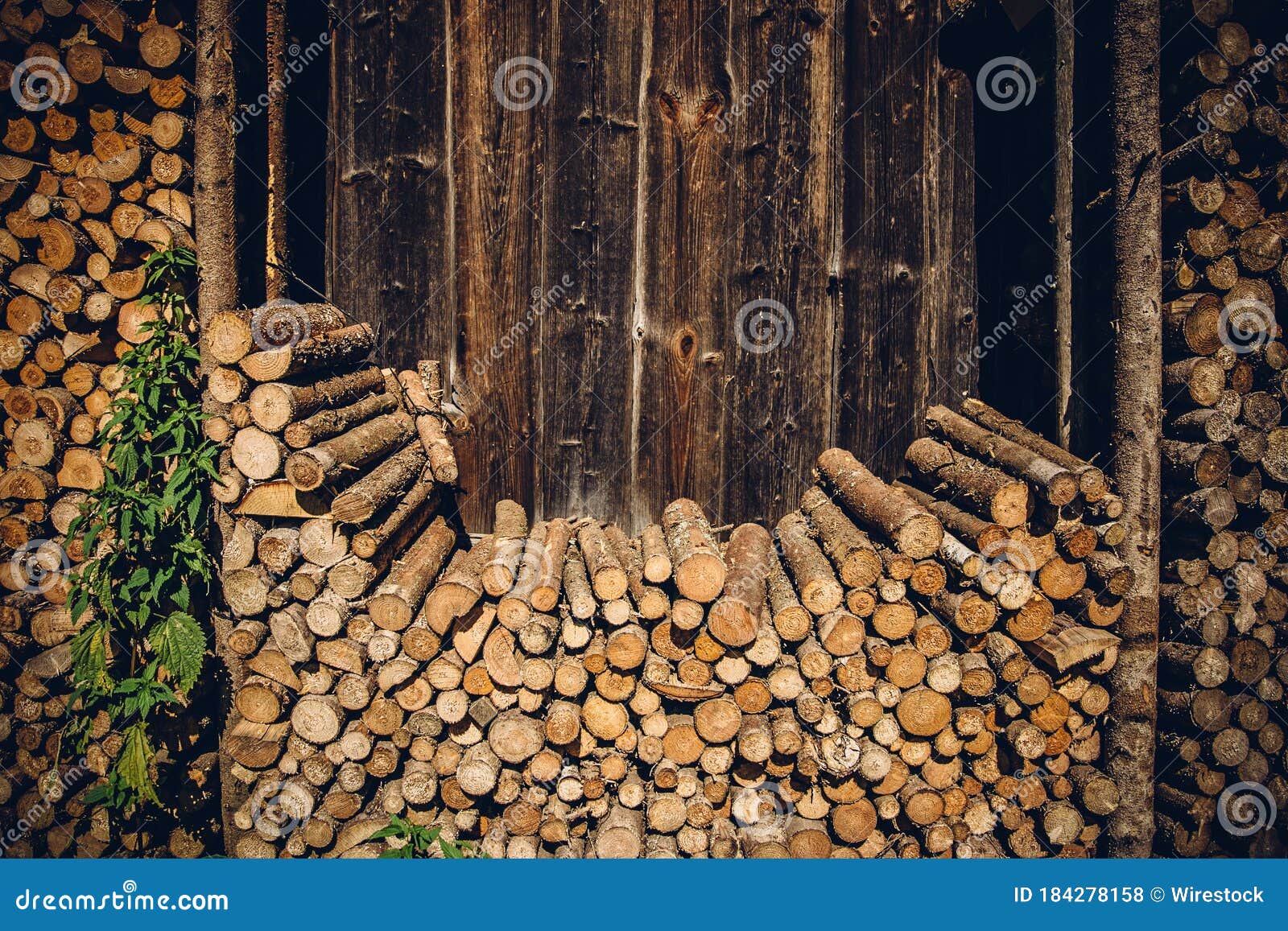 Closeup of a Neat Pile of Chopped Tree Branches Stock Photo - Image of ...