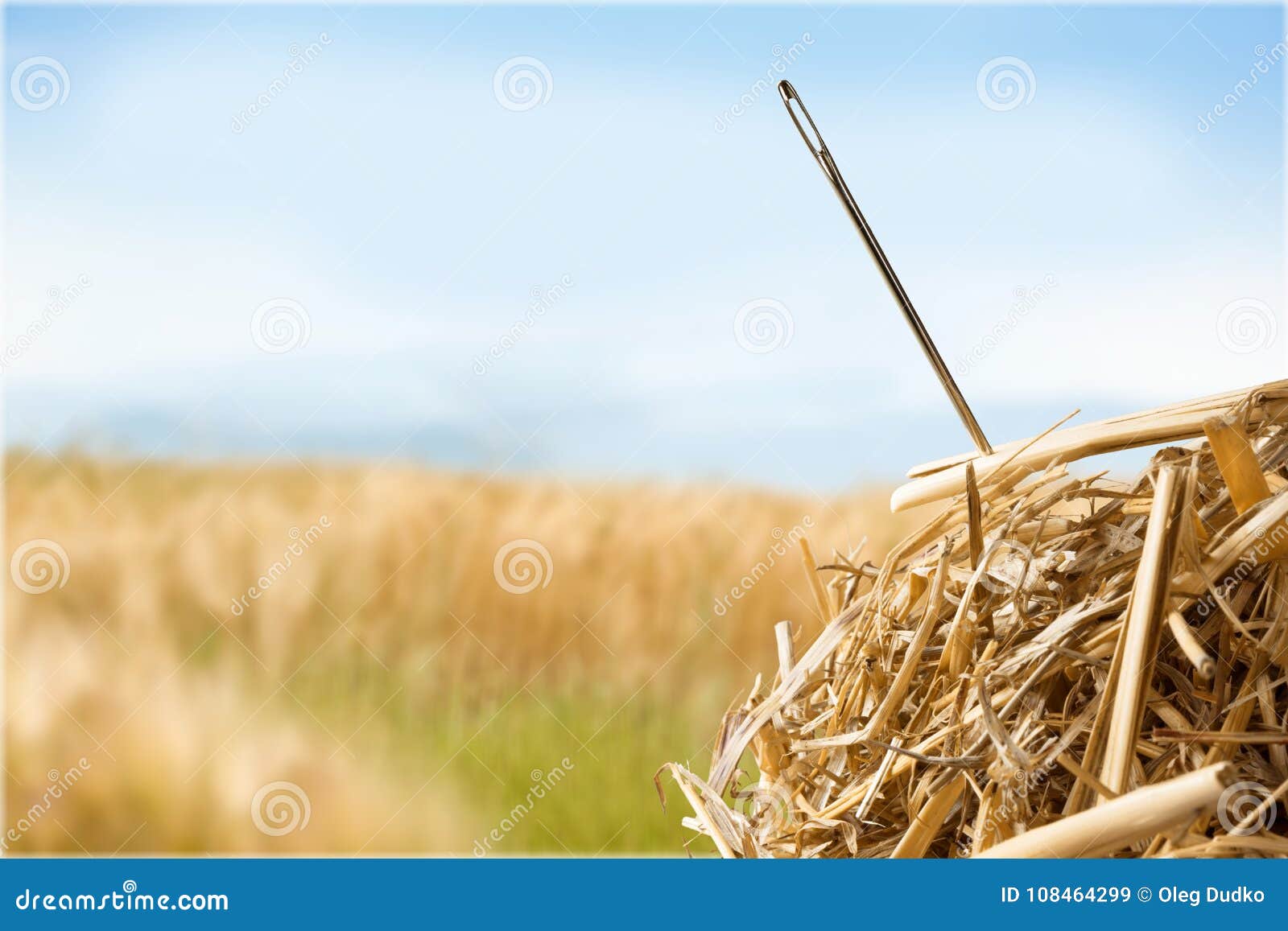 3,325 Stack Needle Stock Photos - Free & Royalty-Free Stock Photos from ...