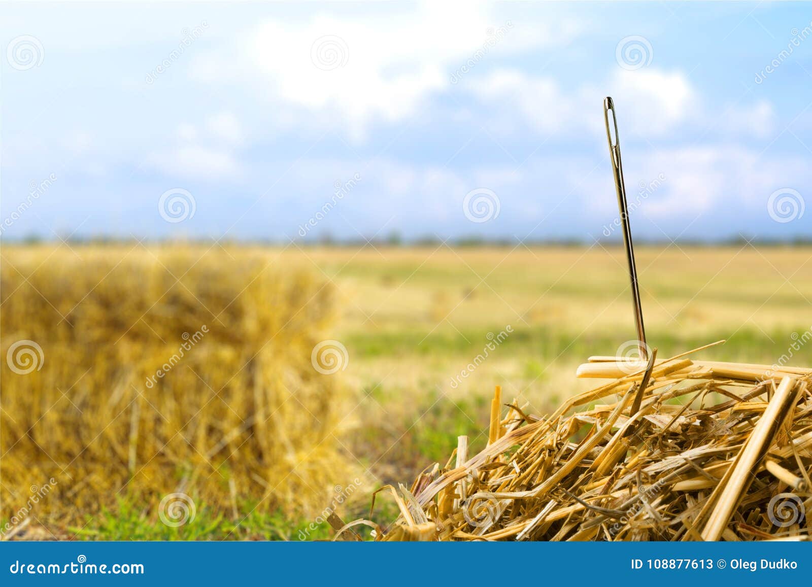 Closeup of Needle in Haystack on Background Stock Image - Image of ...