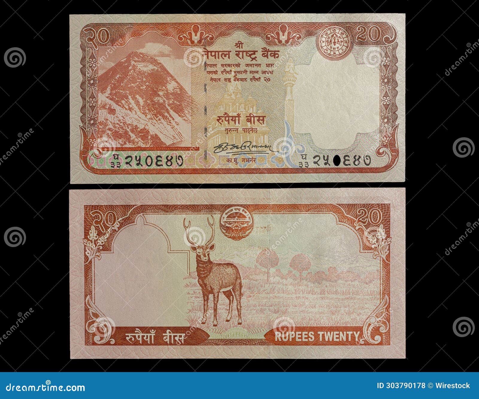 Closeup of a Nepalese Ruppee Banknote. Editorial Stock Photo - Image of ...