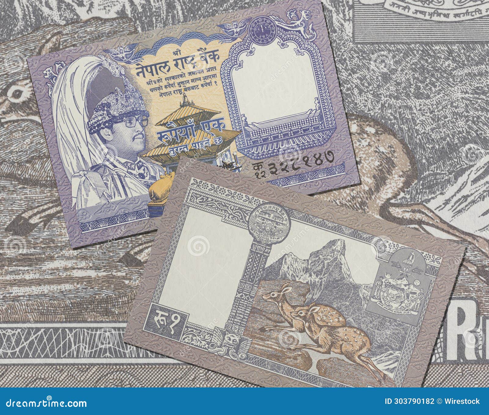 Closeup of a Nepalese Ruppee Banknote. Stock Photo - Image of currency ...