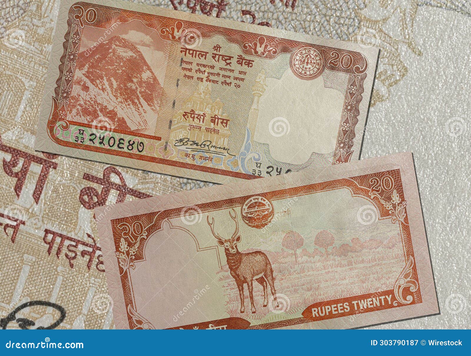 Closeup of a Nepalese Ruppee Banknote. Stock Image - Image of rupee ...