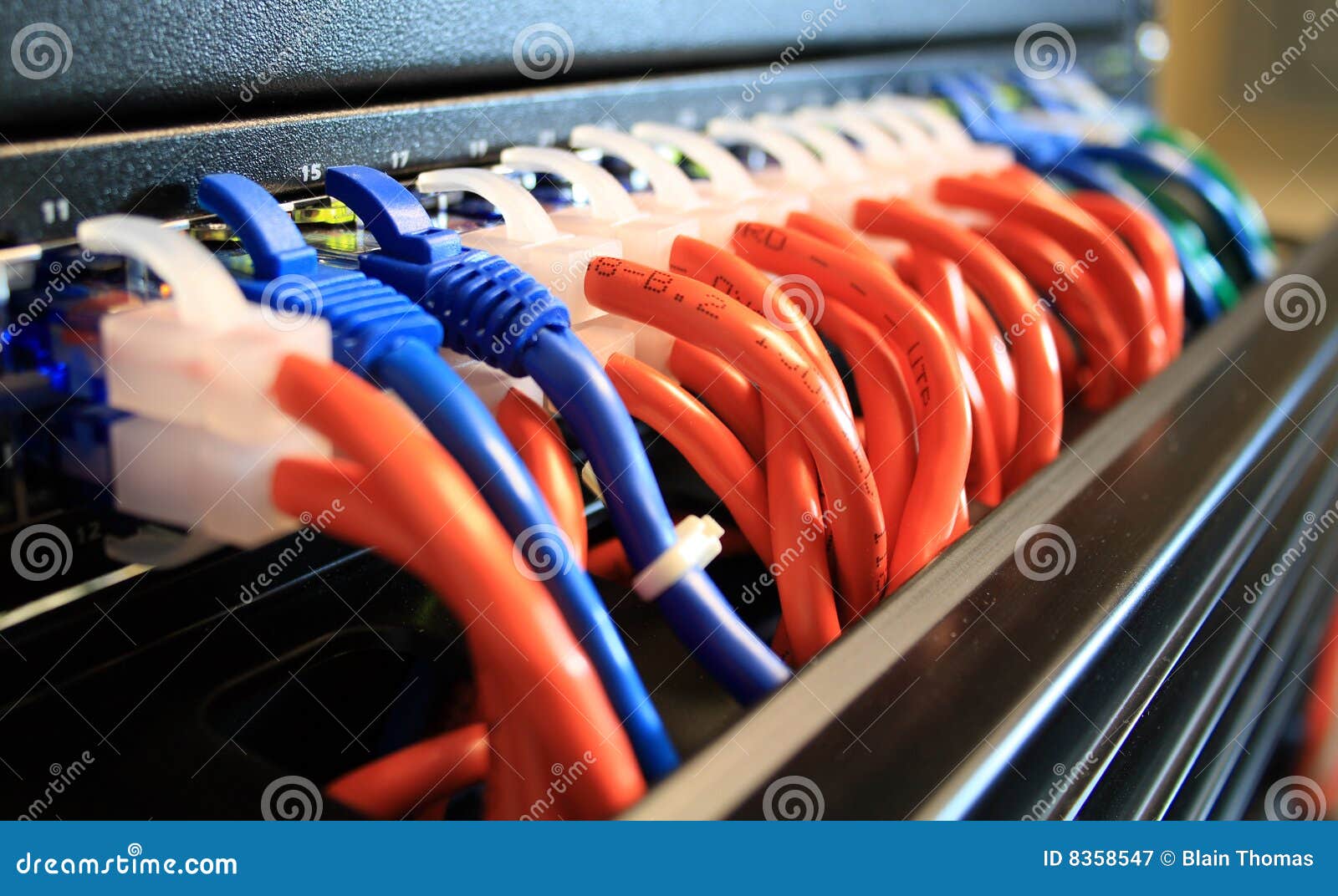 Closeup of Network Cables in Server Room Stock Image - Image of ...