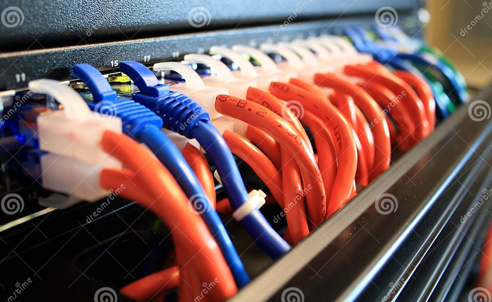 Closeup of Network Cables in Server Room Stock Image - Image of ...