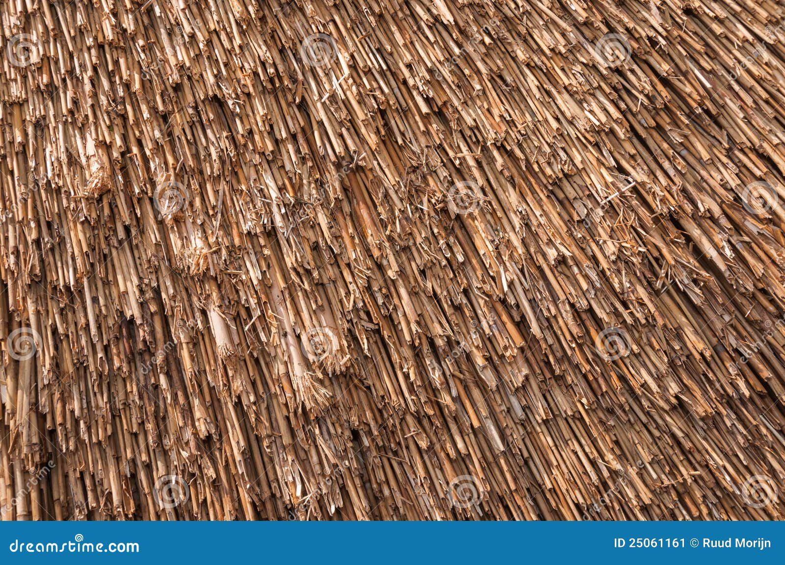 Closeup of a Newly Thatched Roof Stock Image - Image of idyllic ...