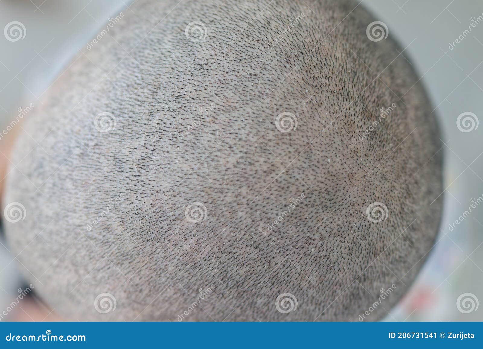 Closeup of Beautiful Shaved Head Big Boy Stock Image - Image of close ...
