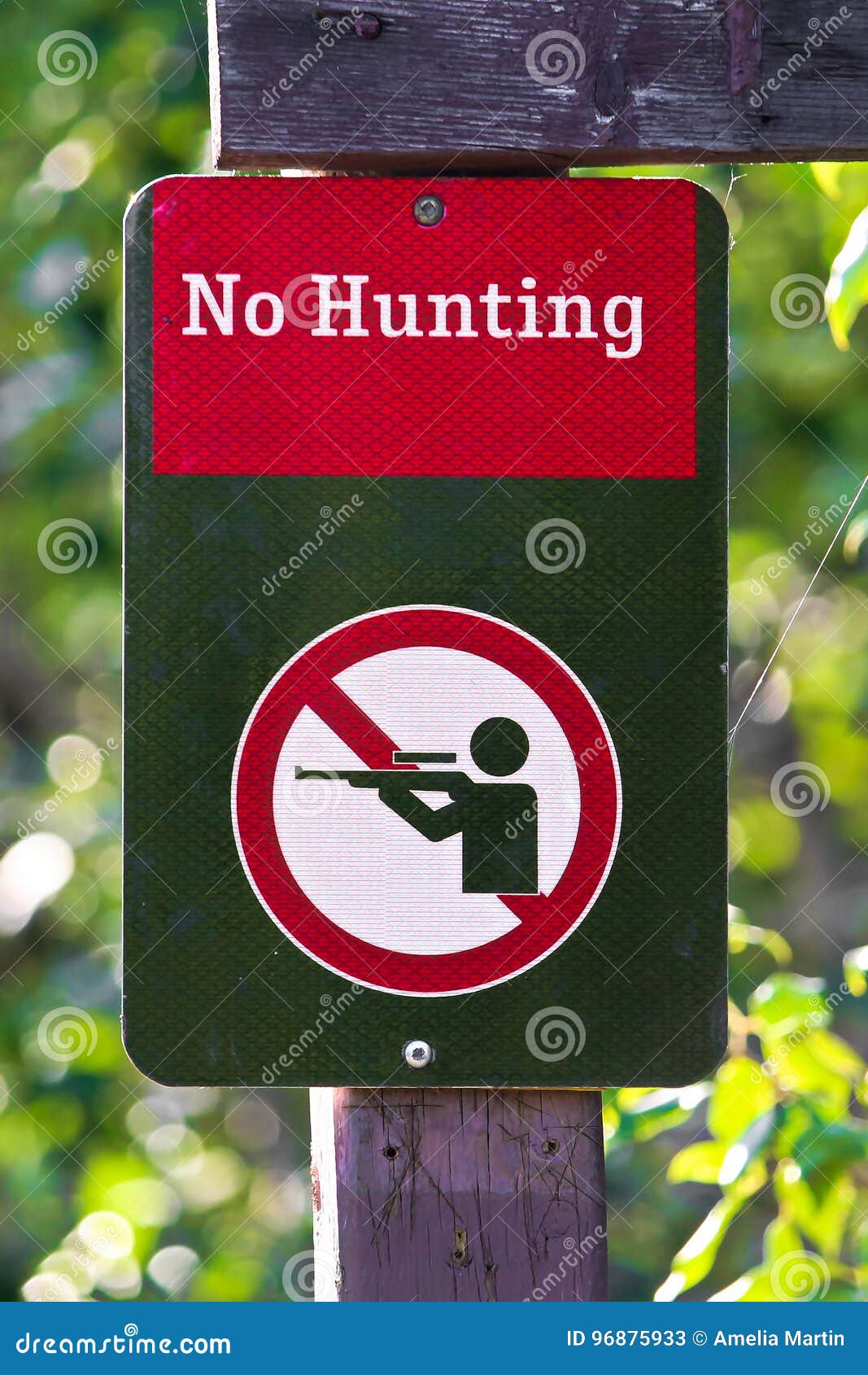 Closeup of a No Hunting Sign on a Green Background Stock Image - Image ...