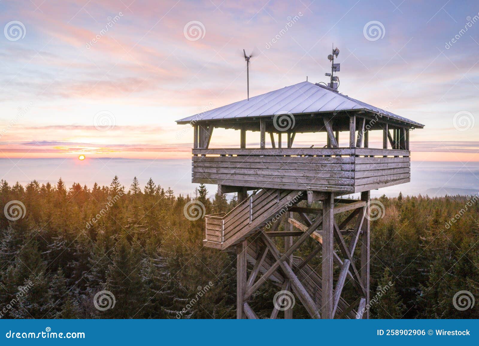 Closeup of an Observation Tower Above the Trees with a View of the ...